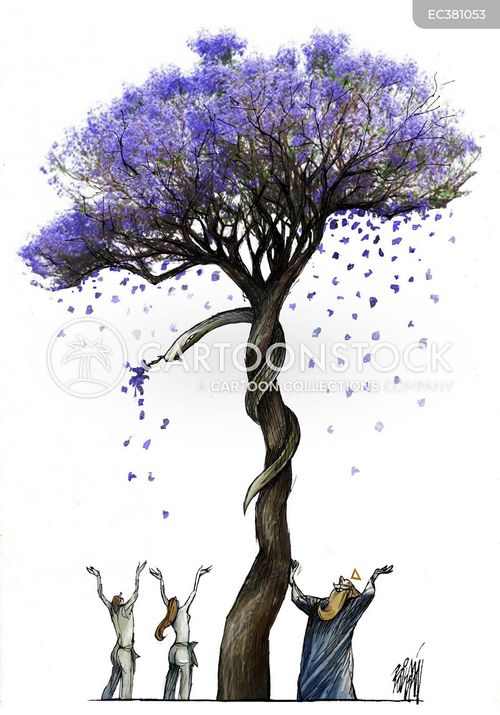 Spring Has Sprung Cartoons and Comics - funny pictures from CartoonStock