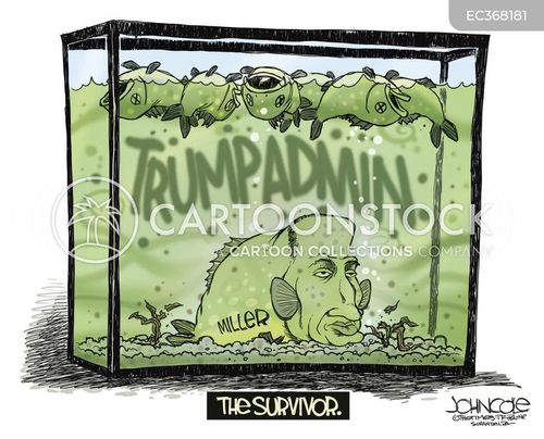 Stephen Miller Cartoons and Comics - funny pictures from CartoonStock