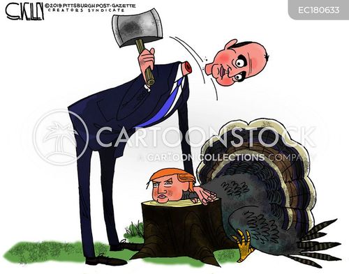 Adam Schiff Cartoons and Comics - funny pictures from CartoonStock