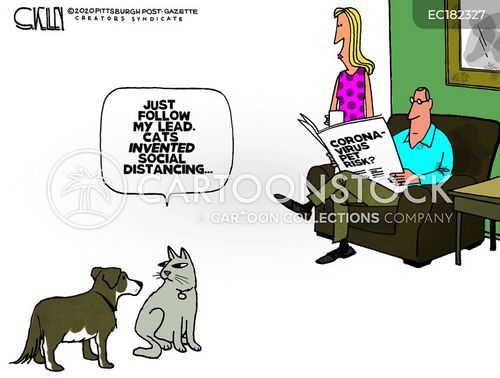 Dog Cartoons Cartoons and Comics - funny pictures from CartoonStock
