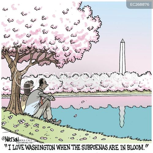 Cherry Blossom Cartoons and Comics - funny pictures from CartoonStock
