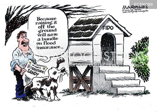 Sandy Damage Cartoons and Comics - funny pictures from CartoonStock