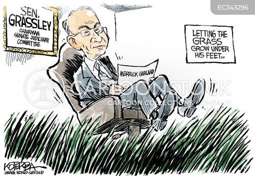 Supreme-court-block Cartoons and Comics - funny pictures from CartoonStock