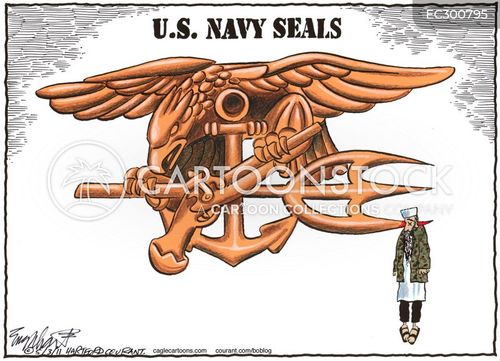 Osama Bin Laden Raid Cartoons and Comics - funny pictures from CartoonStock