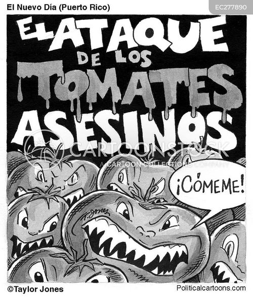 Heirloom Tomatoes Cartoons and Comics - funny pictures from CartoonStock