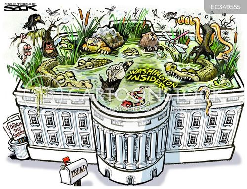 Chaotic Transition Cartoons and Comics - funny pictures from CartoonStock