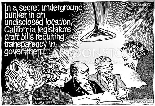 Transparency Laws Cartoons and Comics - funny pictures from CartoonStock