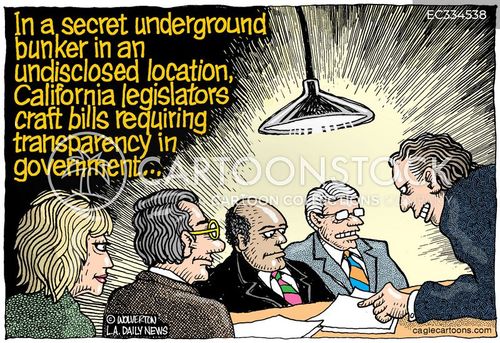 Transparency Laws Cartoons and Comics - funny pictures from CartoonStock