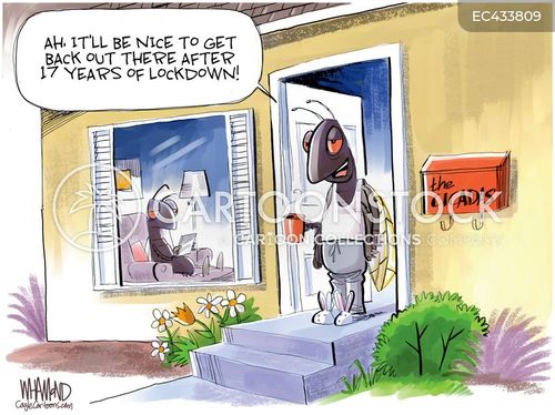 Cicadoidea Cartoons and Comics - funny pictures from CartoonStock