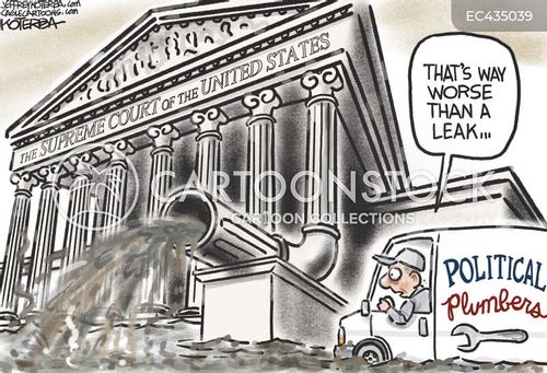 Scotus Leak Cartoons and Comics - funny pictures from CartoonStock