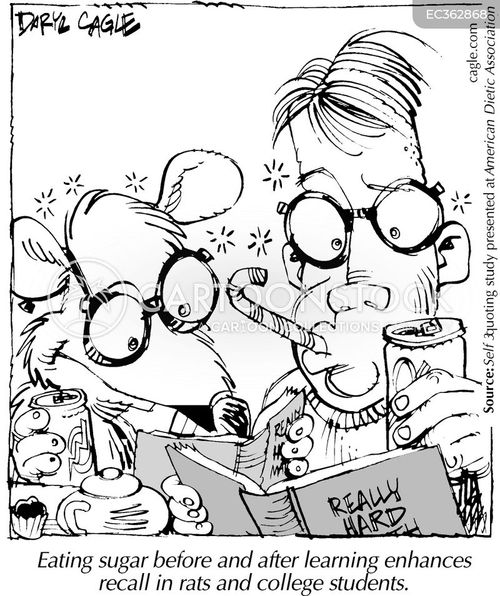 Exam Preparation Cartoons and Comics - funny pictures from CartoonStock