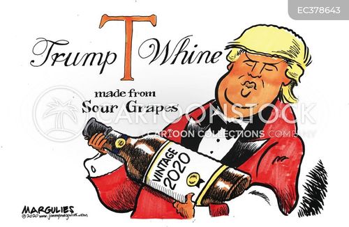 Ballot Lawsuits Cartoons and Comics - funny pictures from CartoonStock