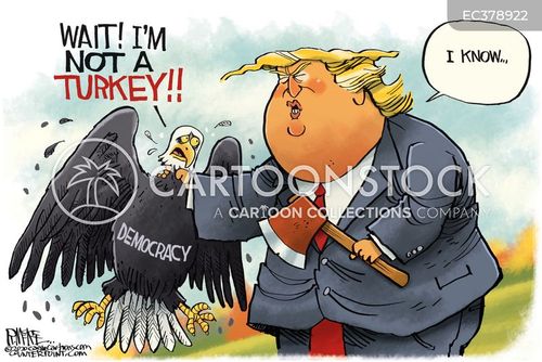 Certified Cartoons and Comics - funny pictures from CartoonStock
