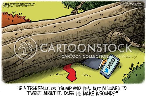 Social Media Consequences Cartoons and Comics - funny pictures from ...