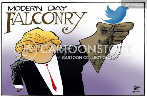 Bird Attack Cartoons and Comics - funny pictures from CartoonStock