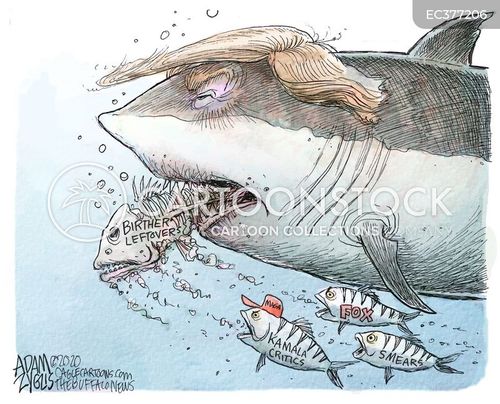 Birther Hoax Cartoons and Comics - funny pictures from CartoonStock