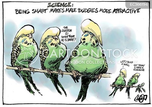 Scientific Insights Cartoons and Comics - funny pictures from CartoonStock