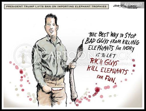 Trump Trophy Cartoons and Comics - funny pictures from CartoonStock