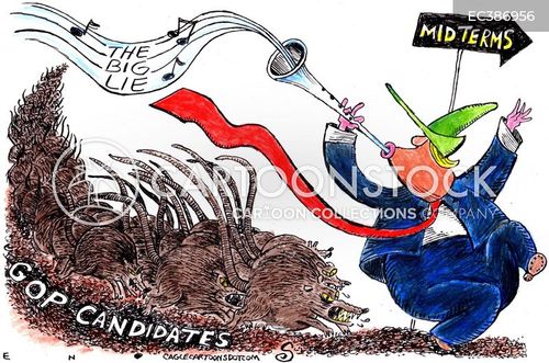 Candidate Rally Cartoons and Comics - funny pictures from CartoonStock