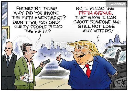 Fifth Amendment Cartoons and Comics - funny pictures from CartoonStock