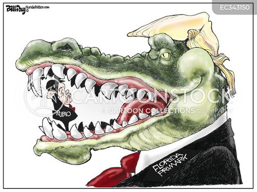 Florida Gators Cartoons and Comics - funny pictures from CartoonStock