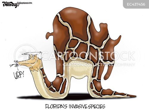 Invasive Species Cartoons and Comics - funny pictures from CartoonStock