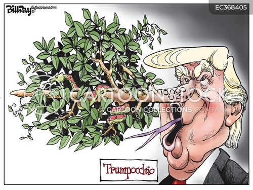 Veracity Cartoons and Comics - funny pictures from CartoonStock