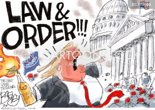 Trump Insurrection Cartoons and Comics - funny pictures from CartoonStock