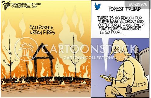 Woolsey Fire Cartoons and Comics - funny pictures from CartoonStock