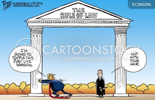 Us District Judge Jon Tigar Cartoons and Comics - funny pictures from ...