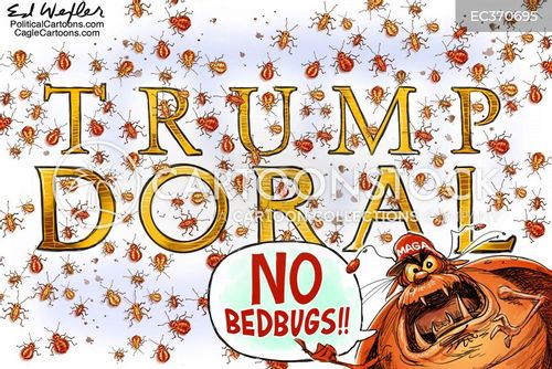 Trump Bedbugs Cartoons and Comics - funny pictures from CartoonStock