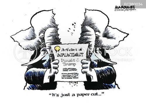 U.s. Capitol Assault Cartoons and Comics - funny pictures from CartoonStock