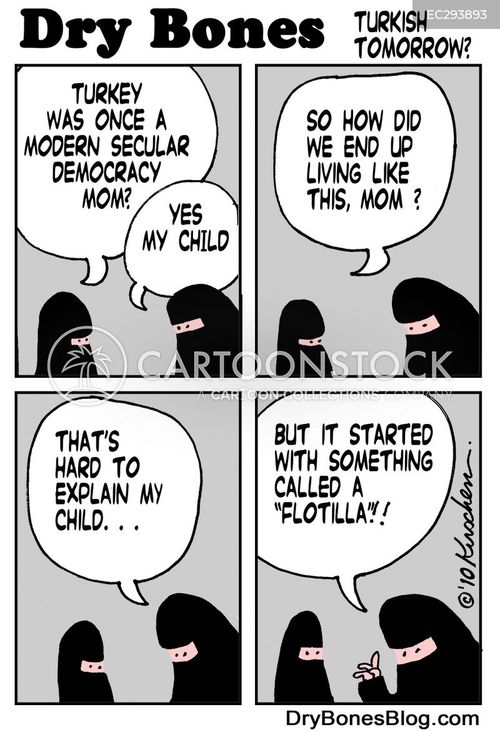 Turkey's Role Cartoons and Comics - funny pictures from CartoonStock