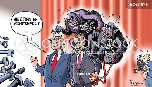 Us-turkey Alliance Cartoons and Comics - funny pictures from CartoonStock