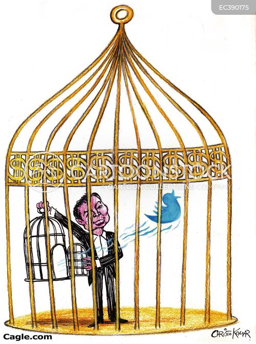 Twitter Birds Cartoons and Comics - funny pictures from CartoonStock