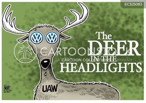 Vw Cartoons and Comics - funny pictures from CartoonStock