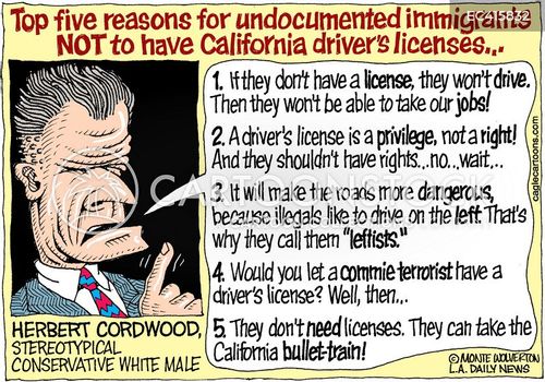 Drivers Lisence Cartoons and Comics - funny pictures from CartoonStock