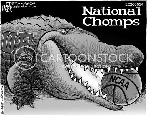Florida Gators Cartoons and Comics - funny pictures from CartoonStock