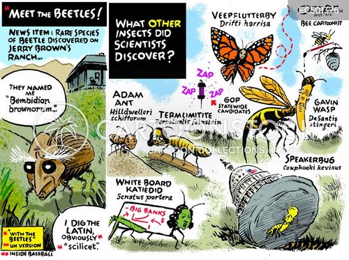 Gavin Newsom Cartoons and Comics - funny pictures from CartoonStock