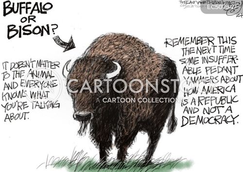 Buffalo Conservation Cartoons and Comics - funny pictures from CartoonStock