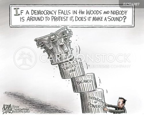 Seperation Of Power Cartoon