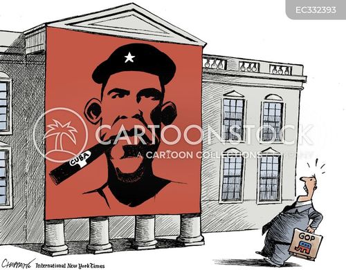 Political Reflection Cartoons and Comics - funny pictures from CartoonStock