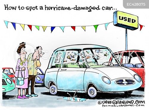 Post Hurricane Cartoons and Comics - funny pictures from CartoonStock