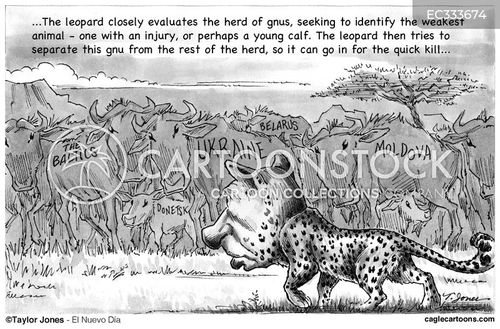 Territorial Aggression Cartoons and Comics - funny pictures from ...