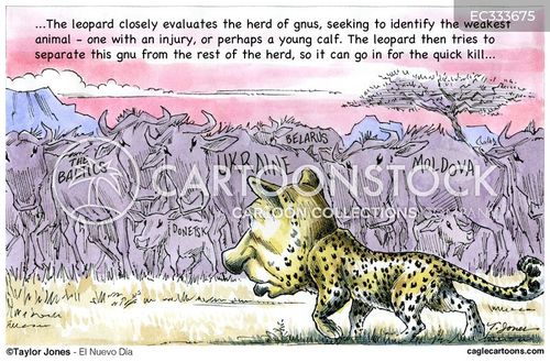 Elusive Prey Cartoons and Comics - funny pictures from CartoonStock