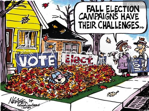 Voting Turnout Cartoons and Comics - funny pictures from CartoonStock