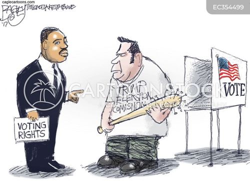 Election Safeguards Cartoons and Comics - funny pictures from CartoonStock