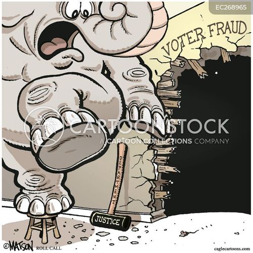 Voter Concerns Cartoons and Comics - funny pictures from CartoonStock