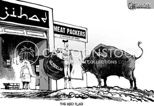 Geopolitical Red Flags Cartoons and Comics - funny pictures from ...