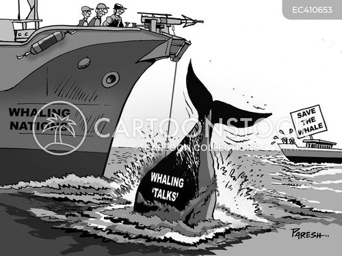 Whaling Nations Cartoons and Comics - funny pictures from CartoonStock